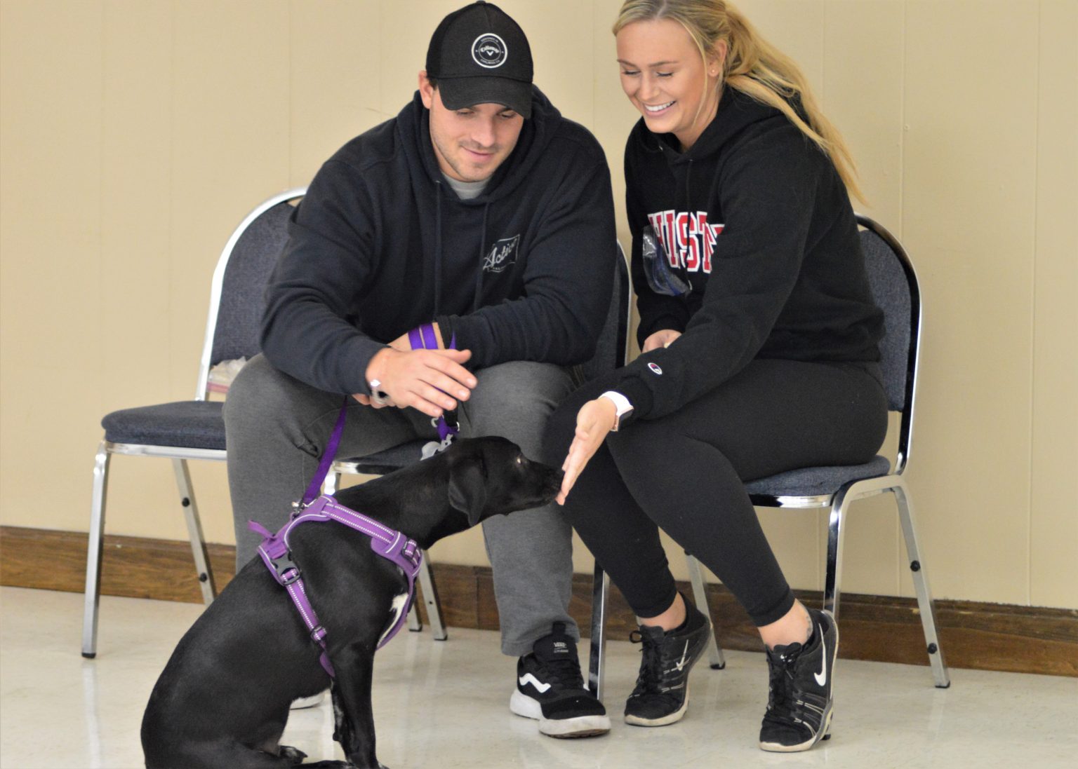 Home - Veteran Companion Animal Services