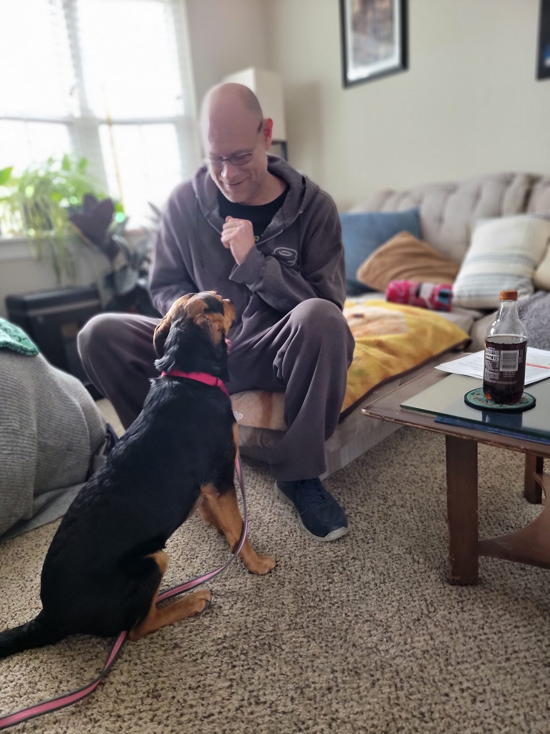 Mirai finds her home! | Veteran Companion Animal Services