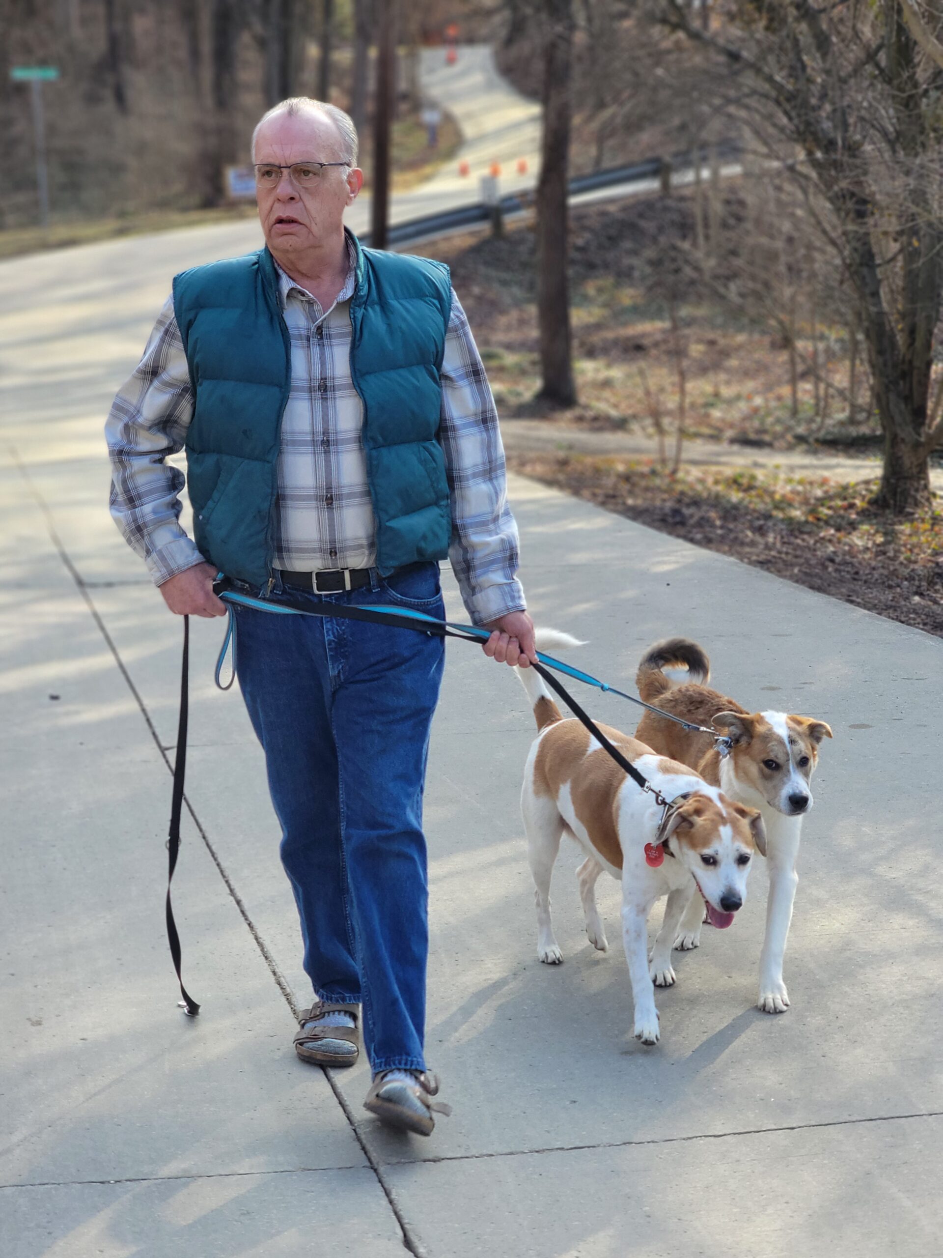 Welcome home, Major! - Veteran Companion Animal Services