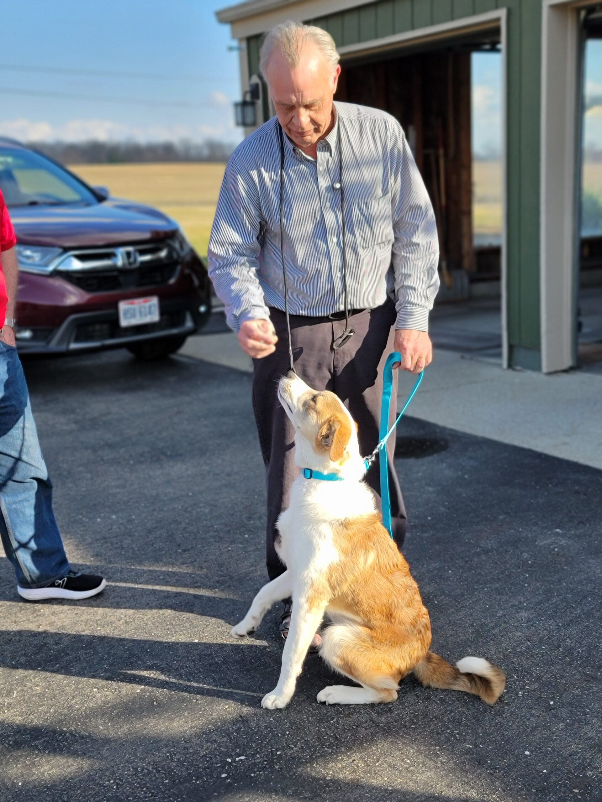 Welcome home, Major! | Veteran Companion Animal Services