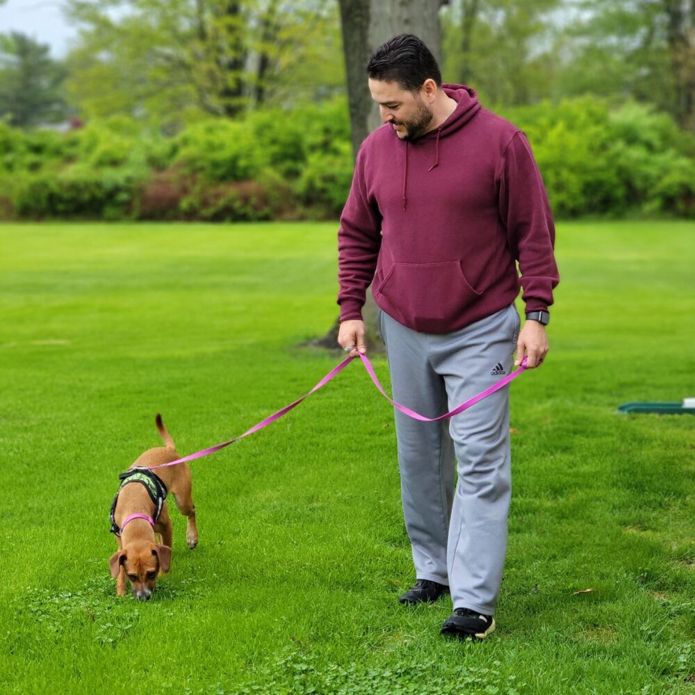 Veteran Companion Animal Services – Nonprofit animal rescue and veteran ...