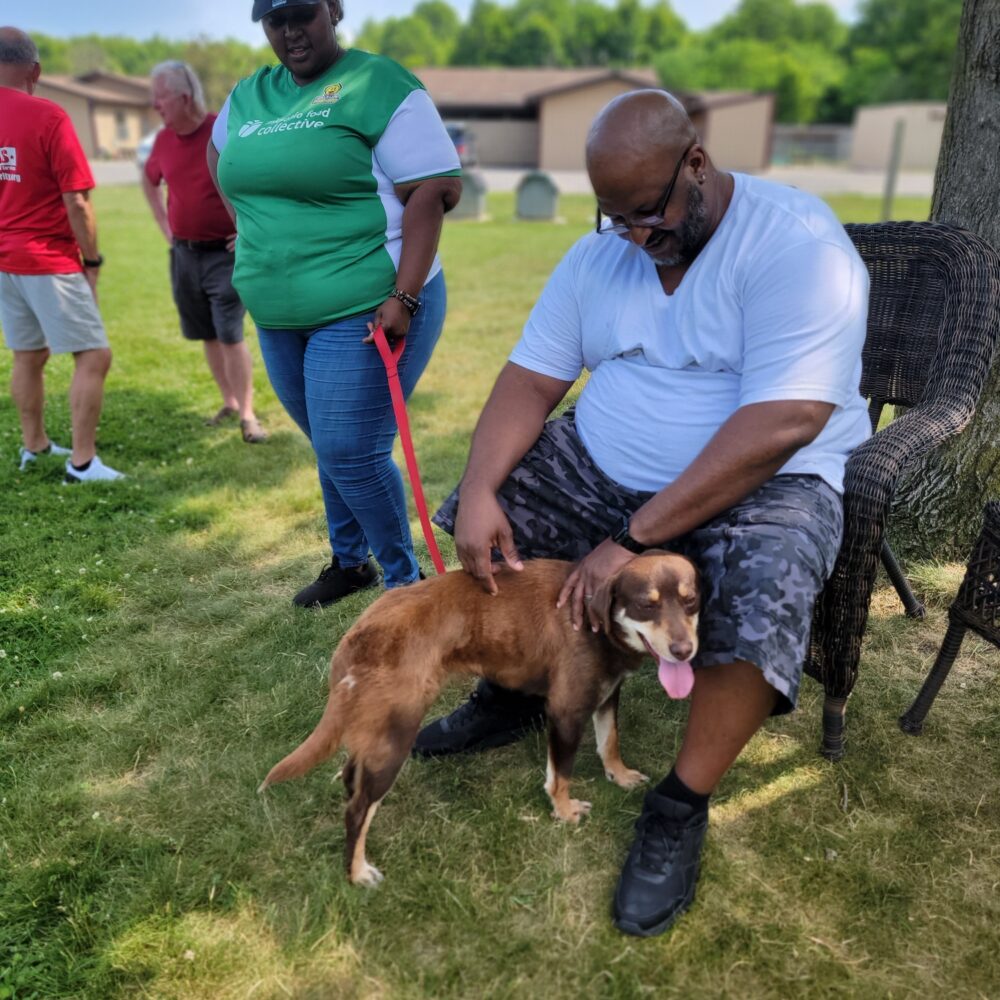 Veteran Companion Animal Services – Nonprofit animal rescue and veteran ...