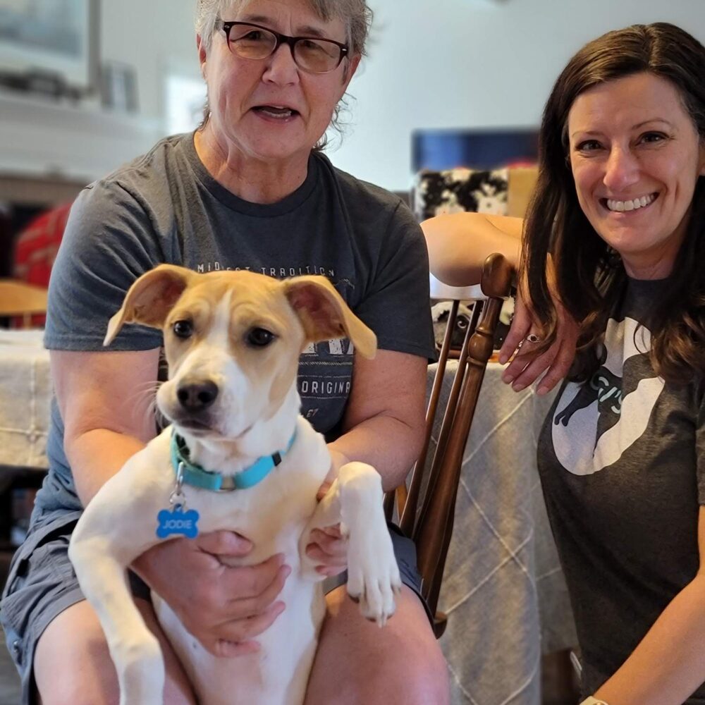 Home - Veteran Companion Animal Services